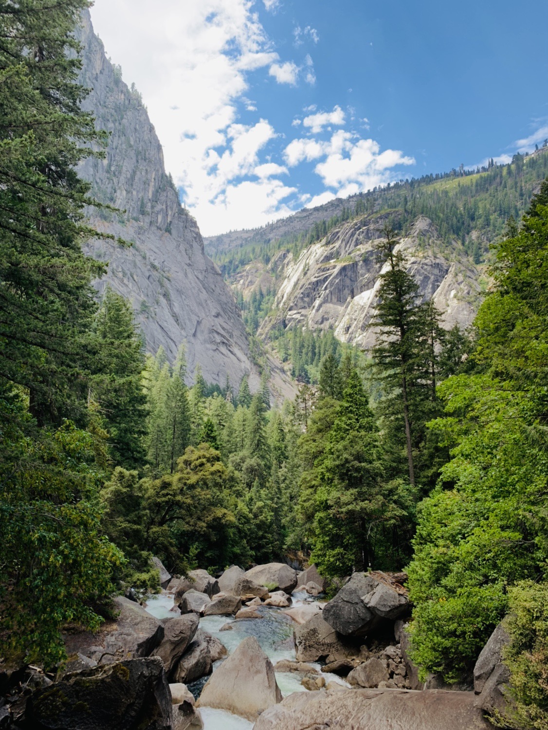 Daniel Palmisano – Content life